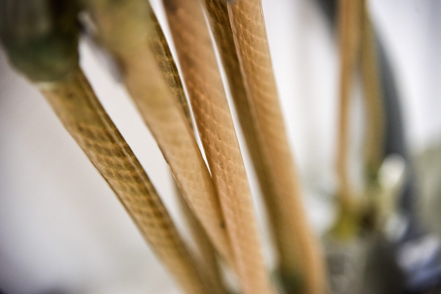 SWO-NETZ | Blog der Stadtwerke Osnabrück